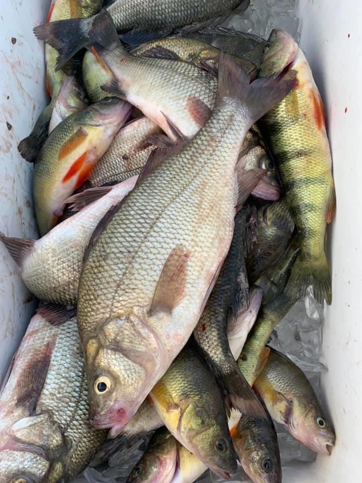 Book Fishing Charters on Lake Champlain | Lake Champlain Fishing